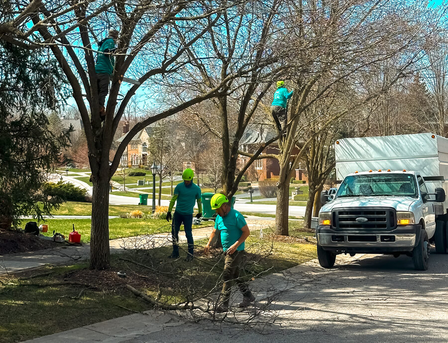 Our Work | Royal Eagle Tree Service